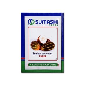 buy sambar cucumber seeds online india | sumashi seeds online