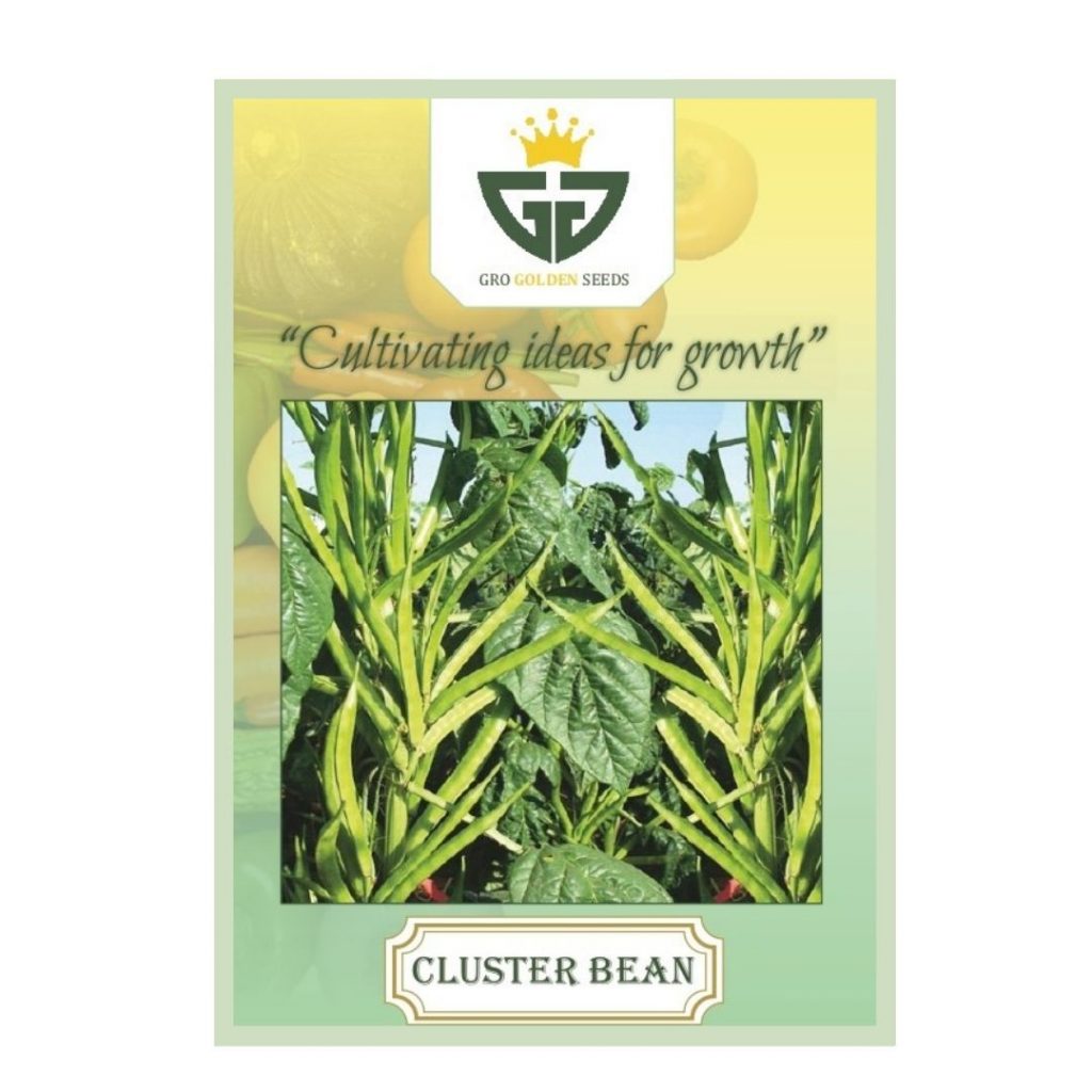 Cluster Bean Seeds India | Buy Cluster Beans Seeds Online India