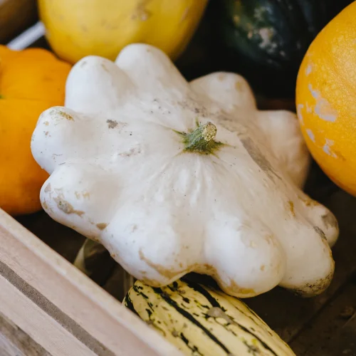 Squash Seeds | BuySquash Seeds Online India
